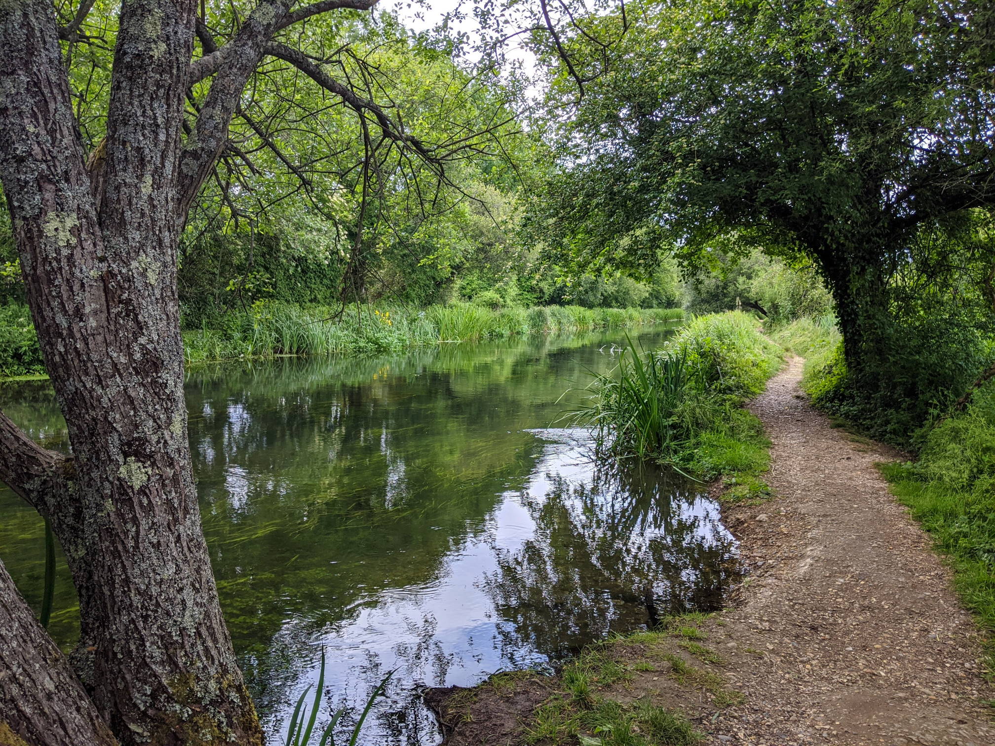 Shawford / Otterbourne walk#12 - from one sluice to the next