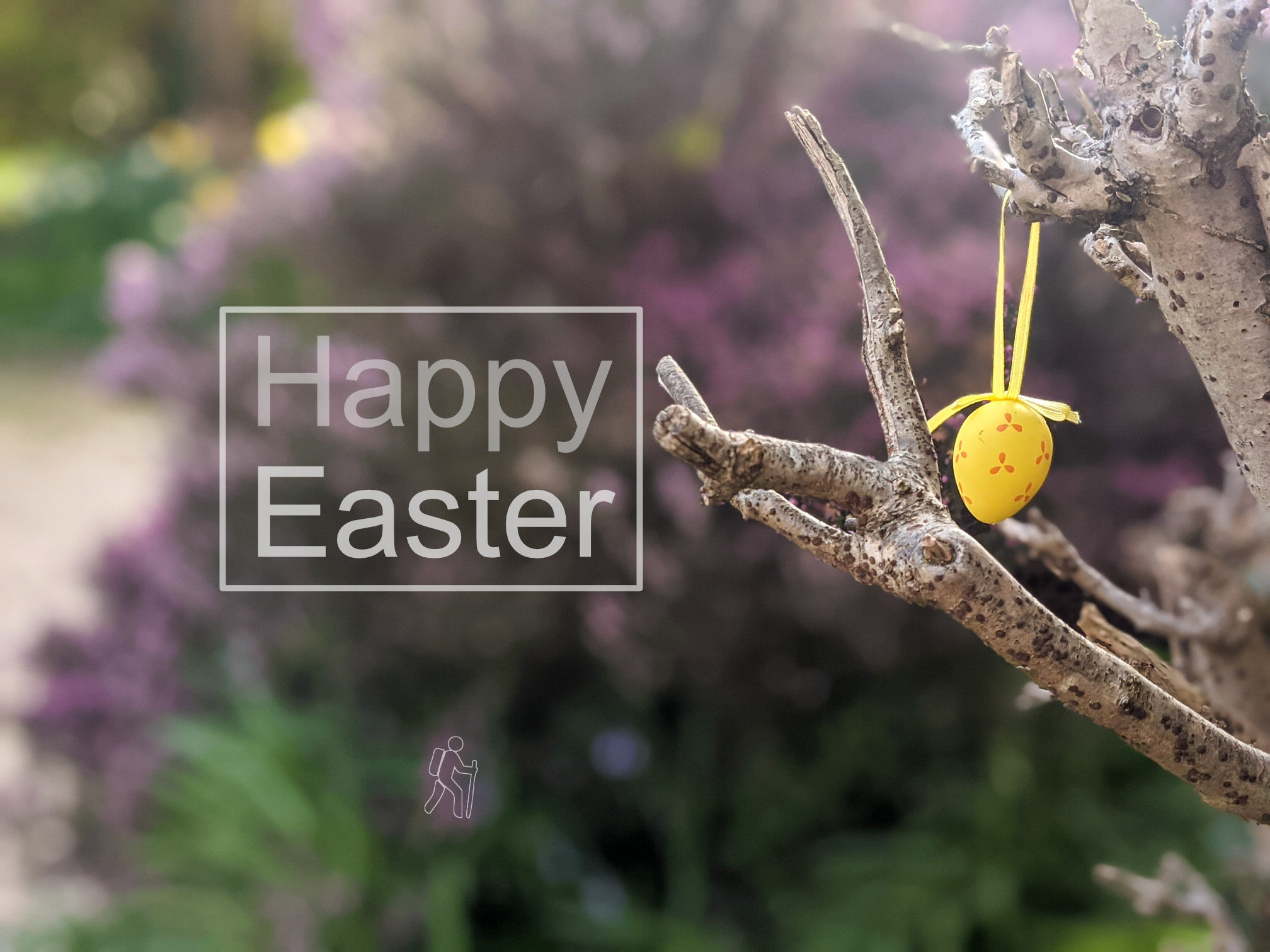 Happy Easter / Hampton Lane - walkWINCHESTER